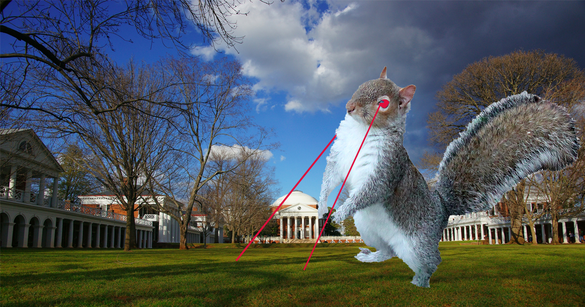 Squirrels of terror: UVA terrorized by furry rodents