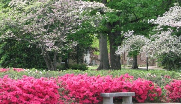 Why spring semester is better than fall semester