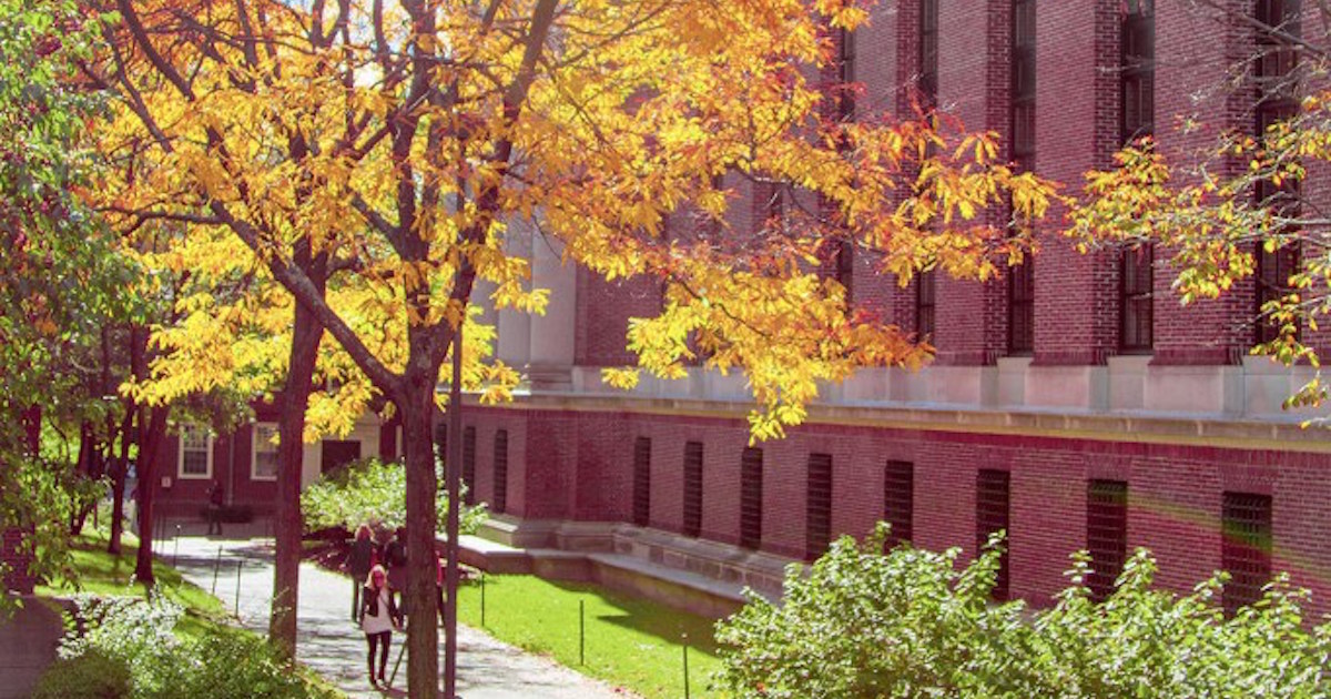 This is what a typical week at Harvard is like