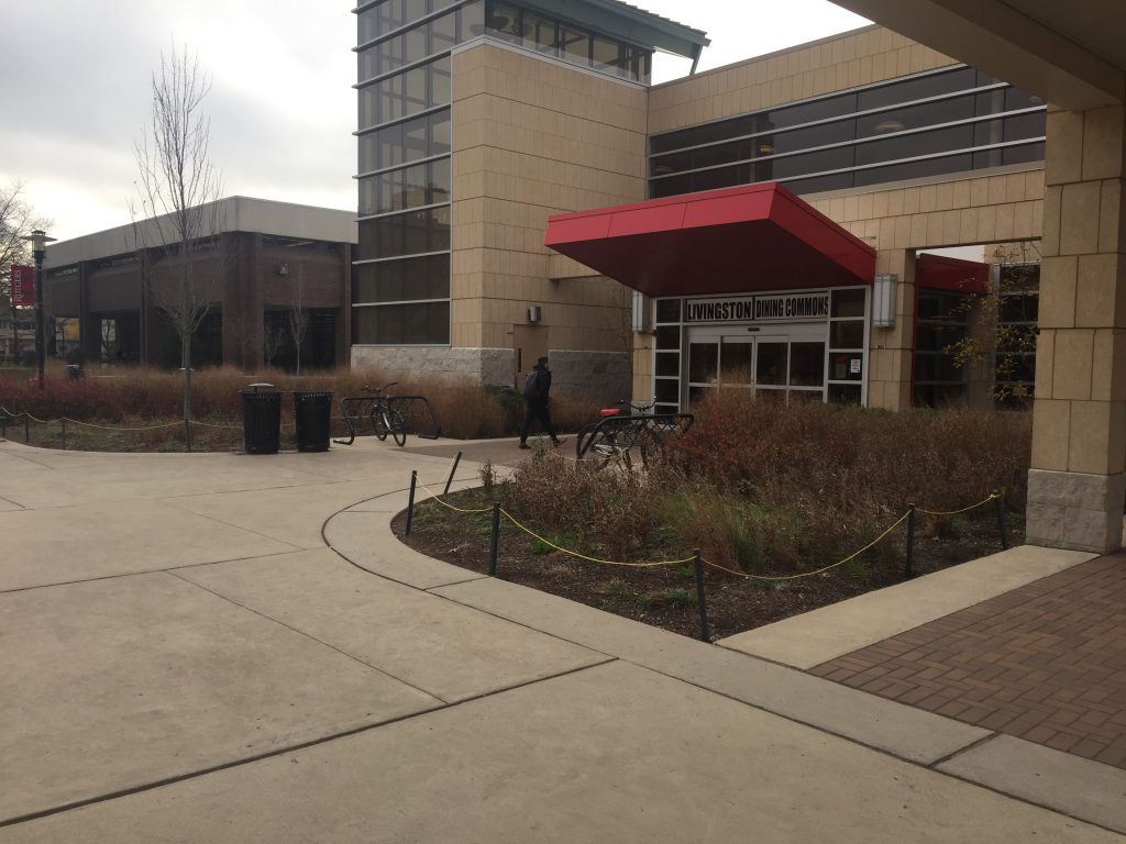 Don't panic, but Rutgers is getting rid of chicken nuggets in campus ...