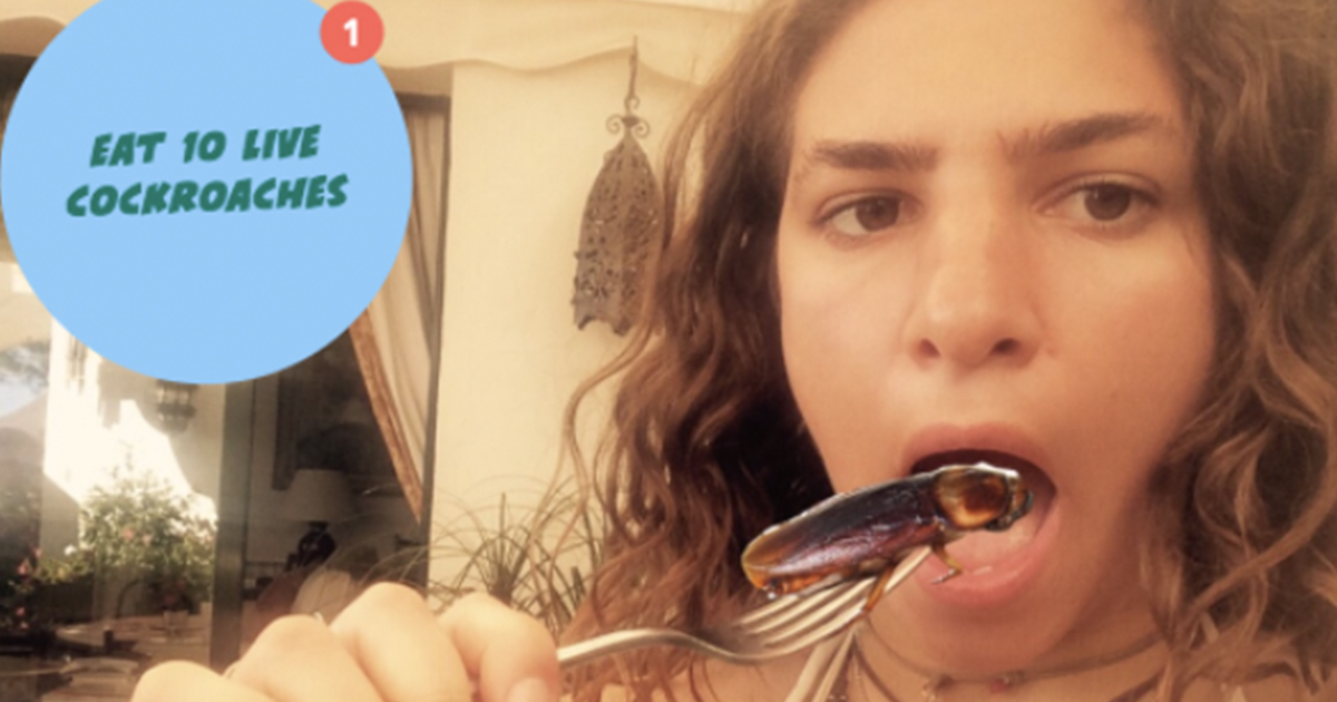 Exeter girl claims she will eat 10 cockroaches for £1,000