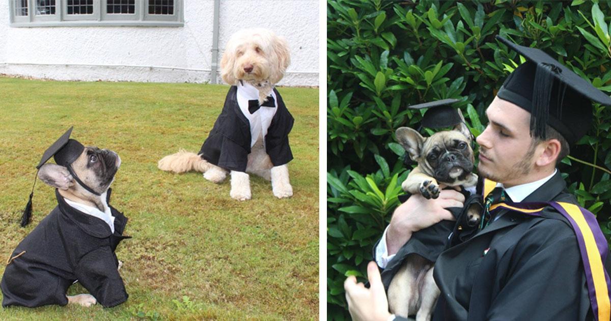 This guy’s mum dressed his dogs up for graduation and it’s the cutest ...