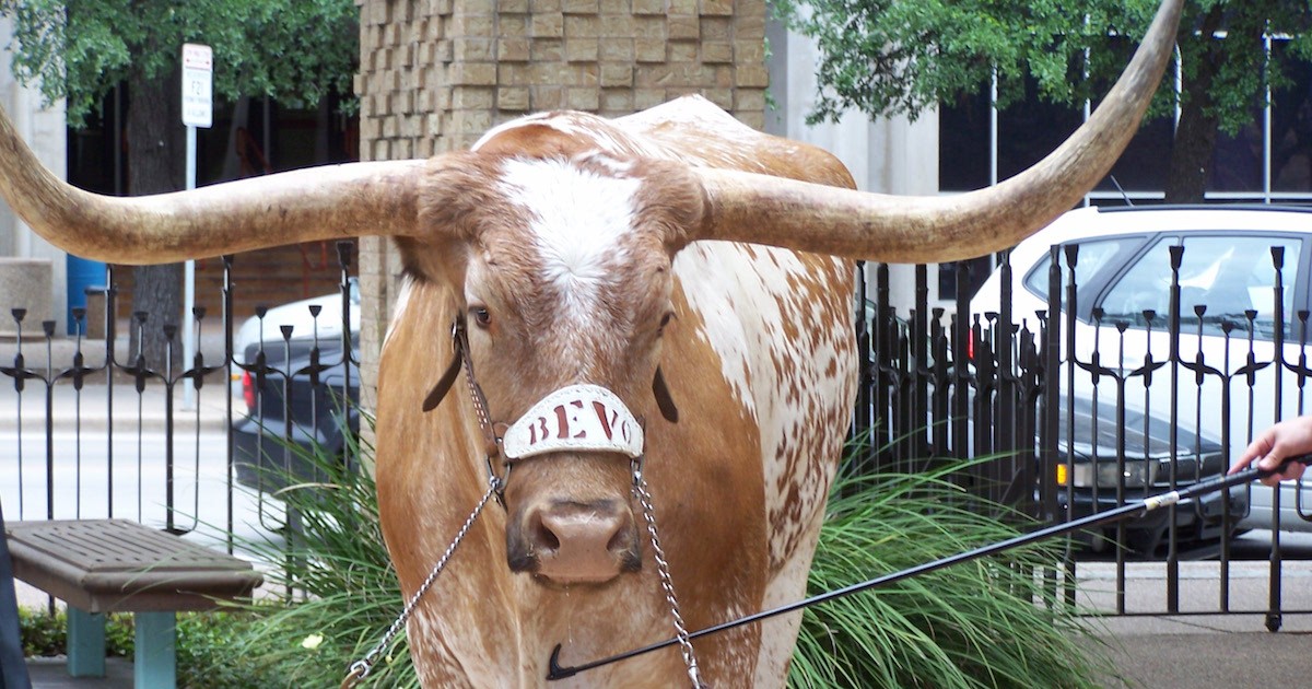 We're finally getting a new Bevo
