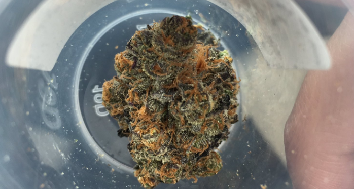 The best places to smoke cannabis on campus as per DPS