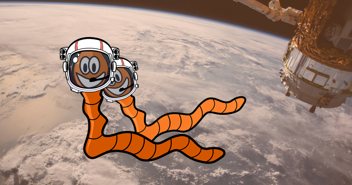 UoN scientists launch worms into space