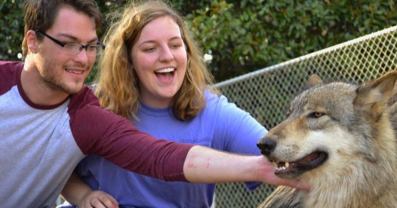 Last minute day trips near FSU you can take to spice up your Spring Break