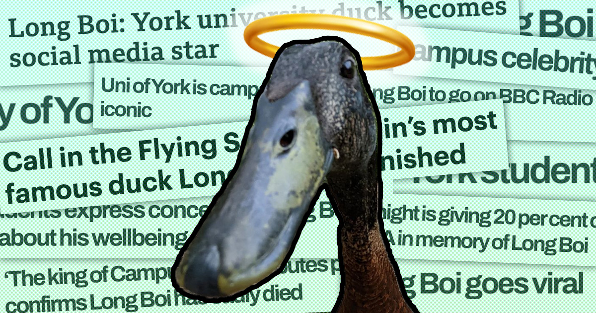 How Long Boi went from humble beginnings on York's campus to ...