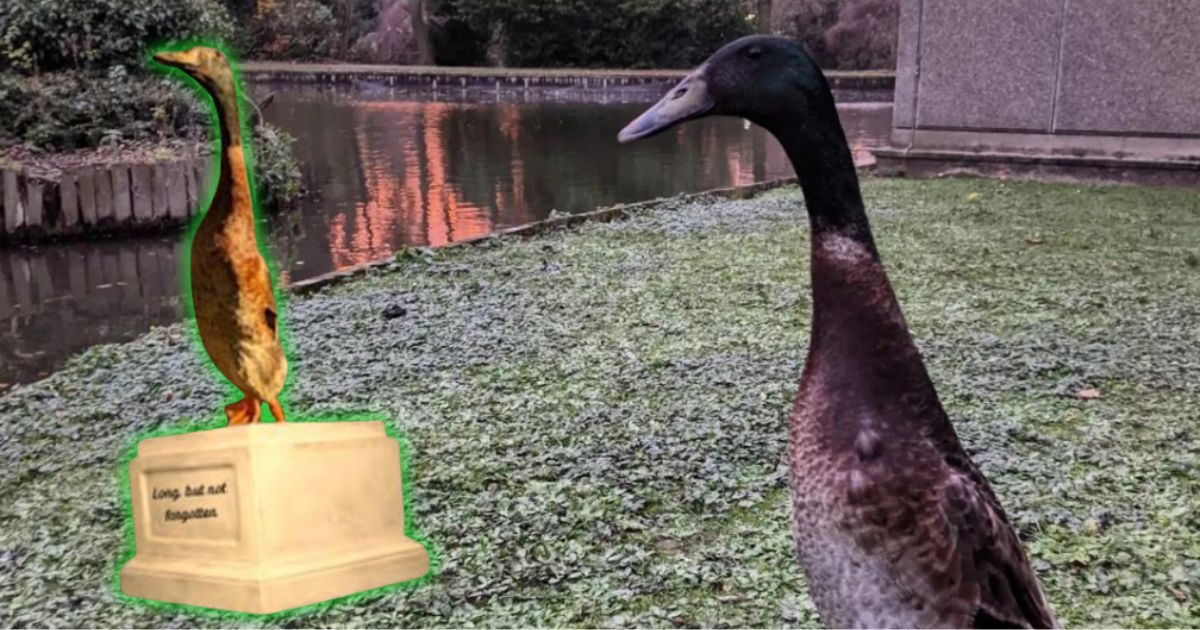 It's official, a life-size statue of Long Boi will be built on York's ...