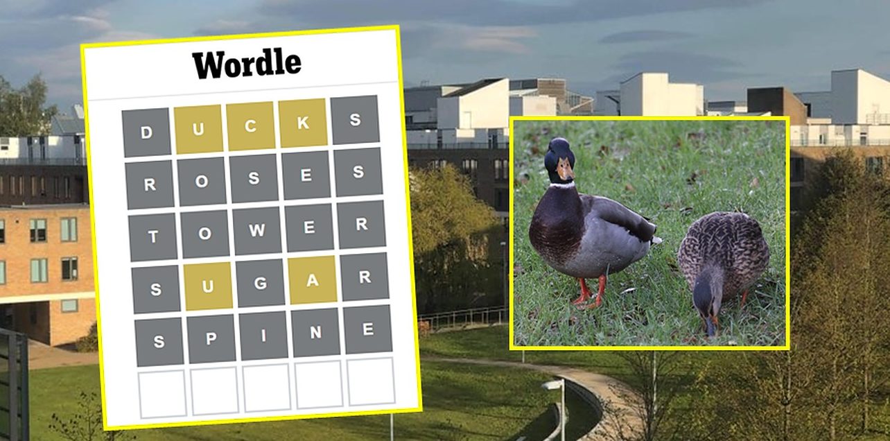 Ducks, Roses, Sugar: All the Wordles you could make based on things in ...