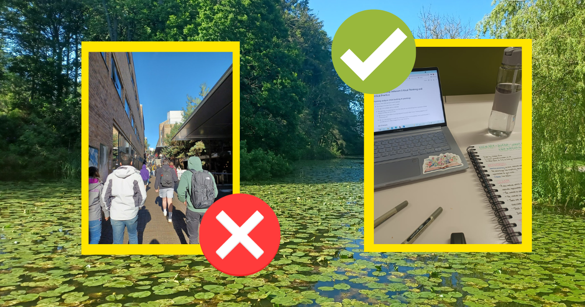 Washing up and washing machines: The dos and don'ts of Lancaster Uni