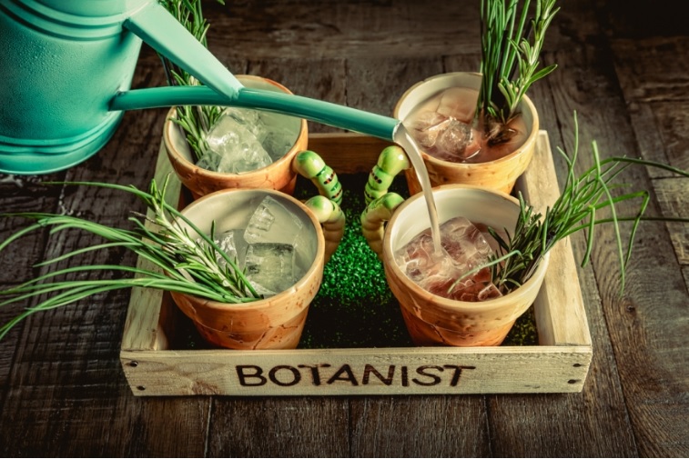 New Botanist bar to open in Leopold Square
