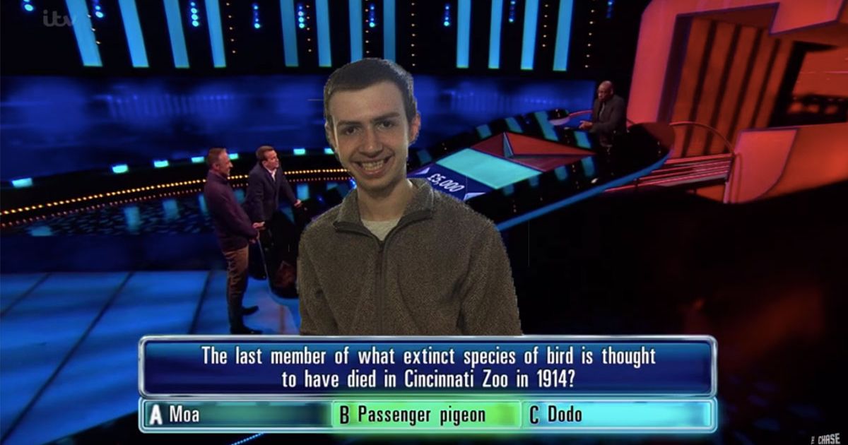 I auditioned for The Chase and it was a wild experience