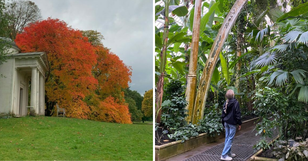 Here are some of the best places in London to enjoy nature this autumn