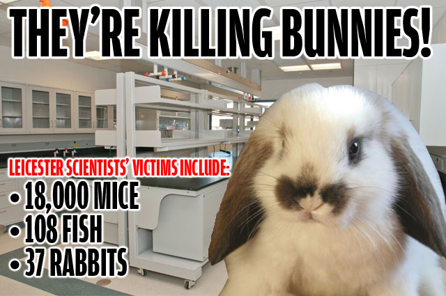 Leicester Uni Killing Rabbits, Mice and Guinea Pigs in the Name of Science