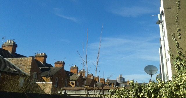 It's obvious: Clarendon Park is the best place to live