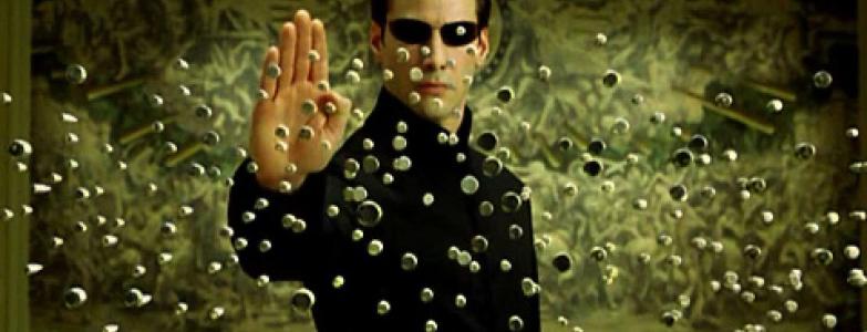 Researchers compare insect's vision to the Matrix