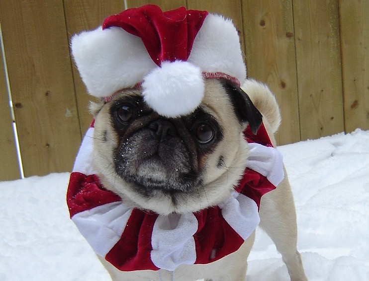 Tab Advent: 22 Days 'Til Xmas!