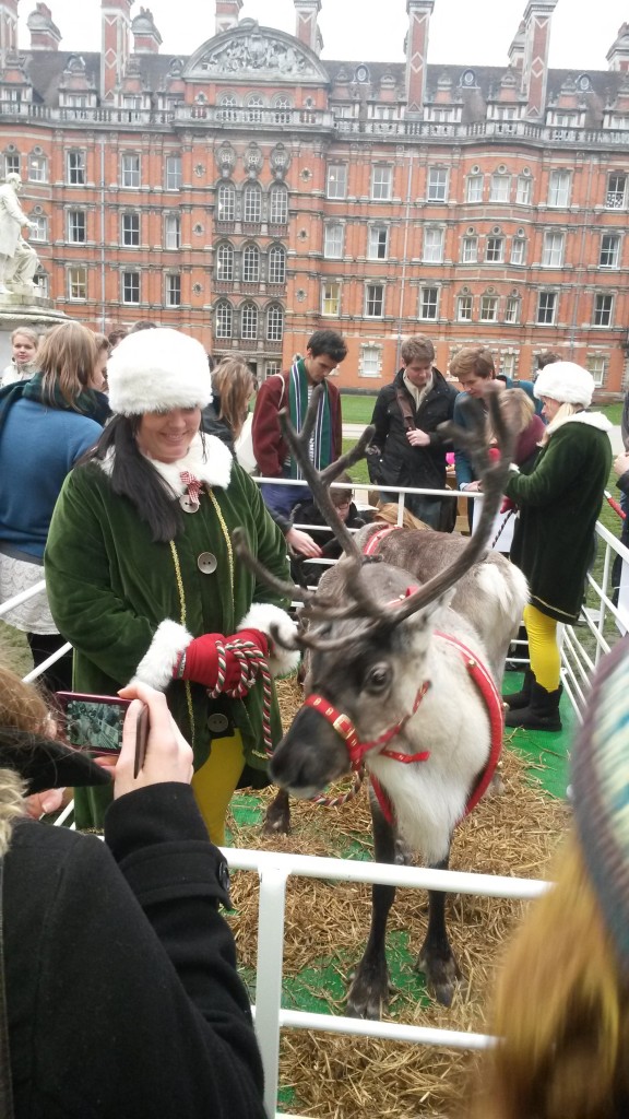 Spotted: reindeer on campus