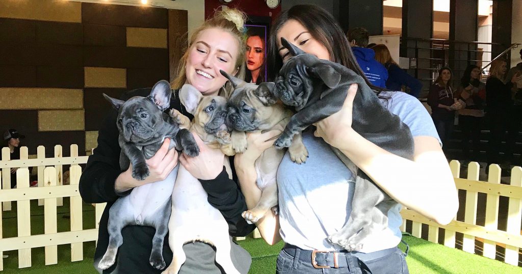 We went to the puppy petting day, so here’s a load of dog pics just for you