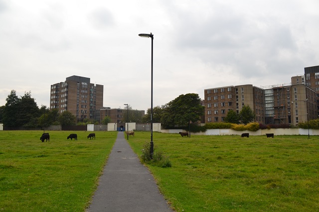 Newcastle - The Tab Guide to University