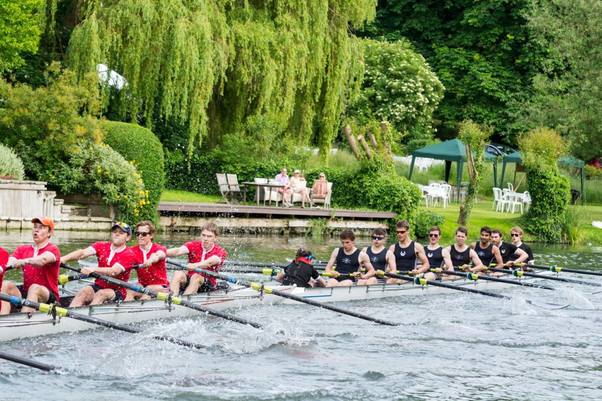DEATH ON THE CAM? Duckling disaster during bumps - University of Cambridge