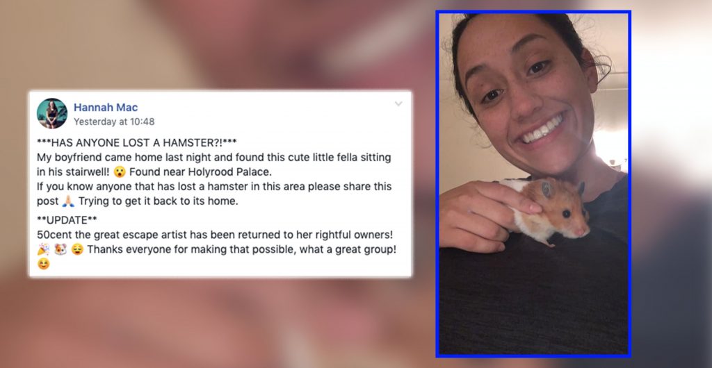 Lost hamster reunited with owners thanks to Edi student’s Meadows Share ...