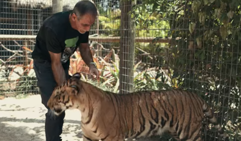 Mario Tabraue: All about the drug dealer from Netflix's Tiger King