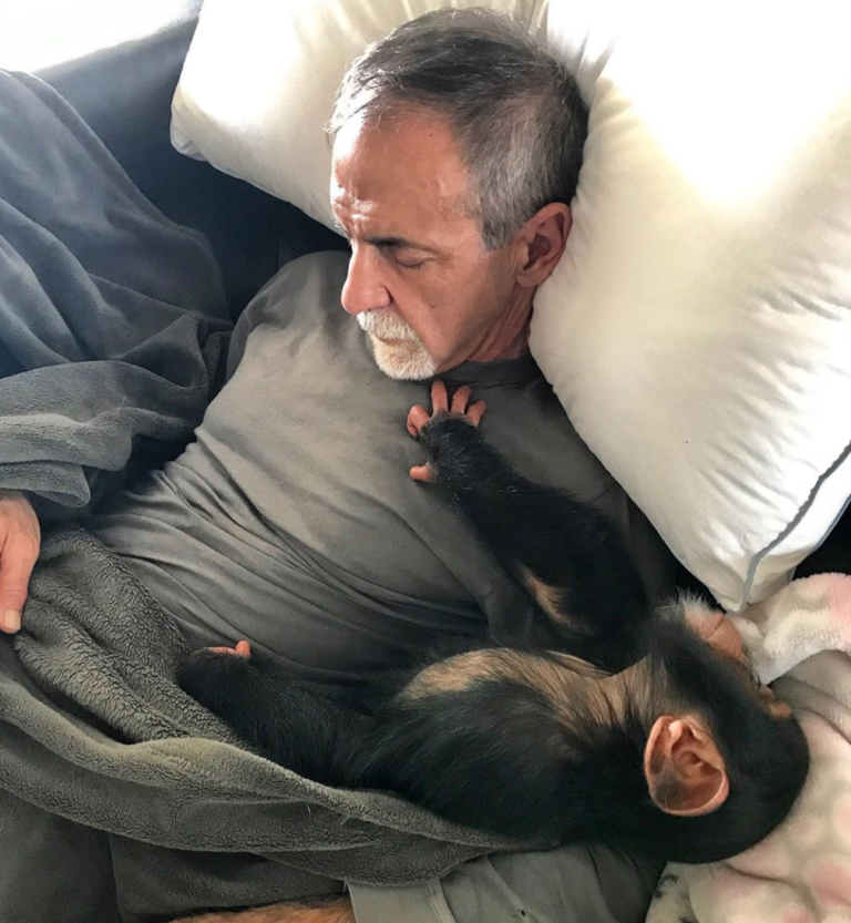 Tiger King Instagrams: The wild social media profiles of Netflix series ...