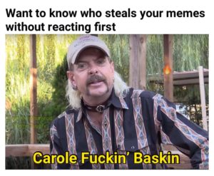 Carole Baskin memes: Collection of funniest reactions to Tiger King star