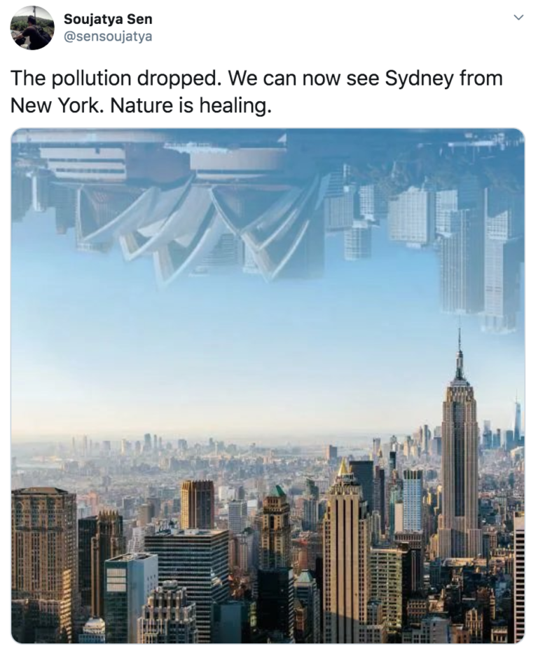 We are the virus nature is healing memes are an ideal isolation pick-me-up