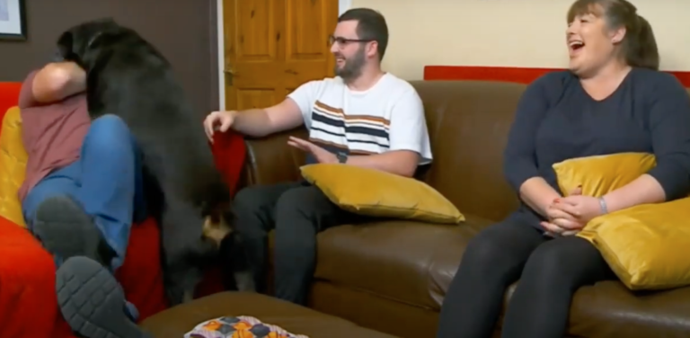 Gogglebox house prices: This is how much the cast's houses are worth