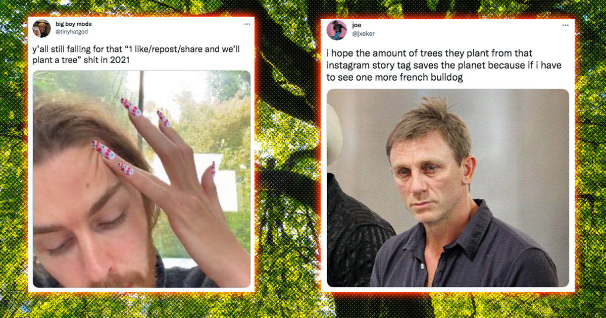 Just 17 of the best memes about planting trees in trade for pet pictures