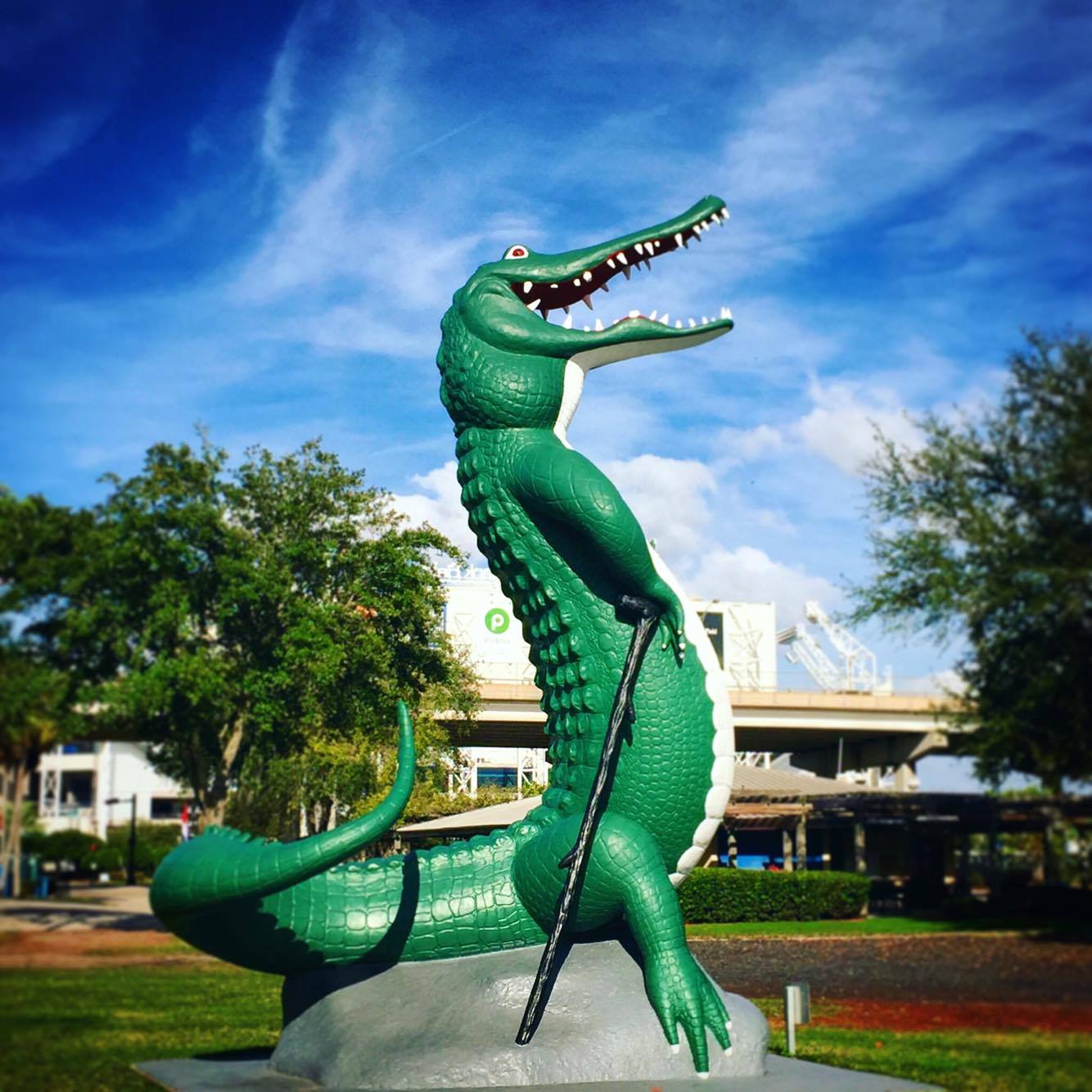 We're from the First Coast, not just Jacksonville or St. Augustine