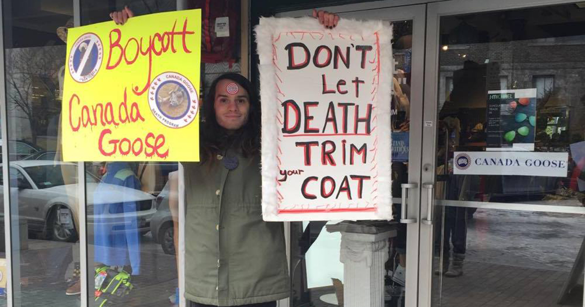 Activists stage anti-Canada Goose protest on Marshall